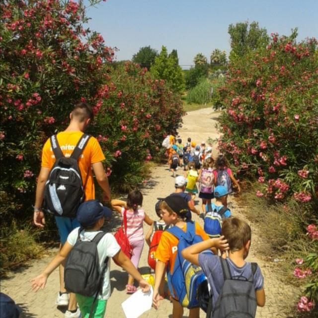 Field Trip Planning: Educational Excursion Guide - Dr. Matthew Lynch